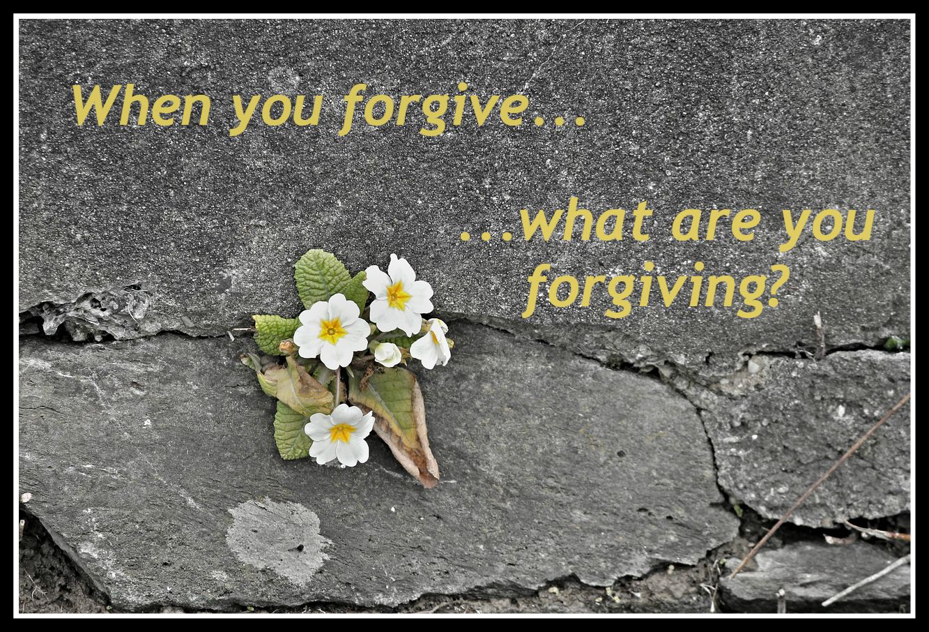 Forgiveness : What Are We Really Forgiving? - Ava Pennington