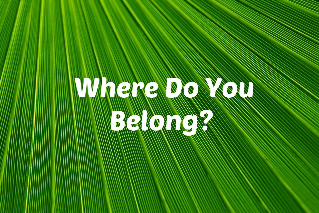 Where Do You Belong? - Ava Pennington