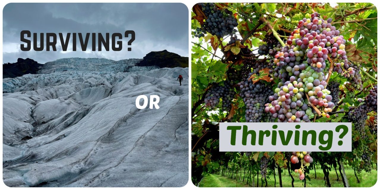 Are You Surviving or Thriving? - Ava Pennington
