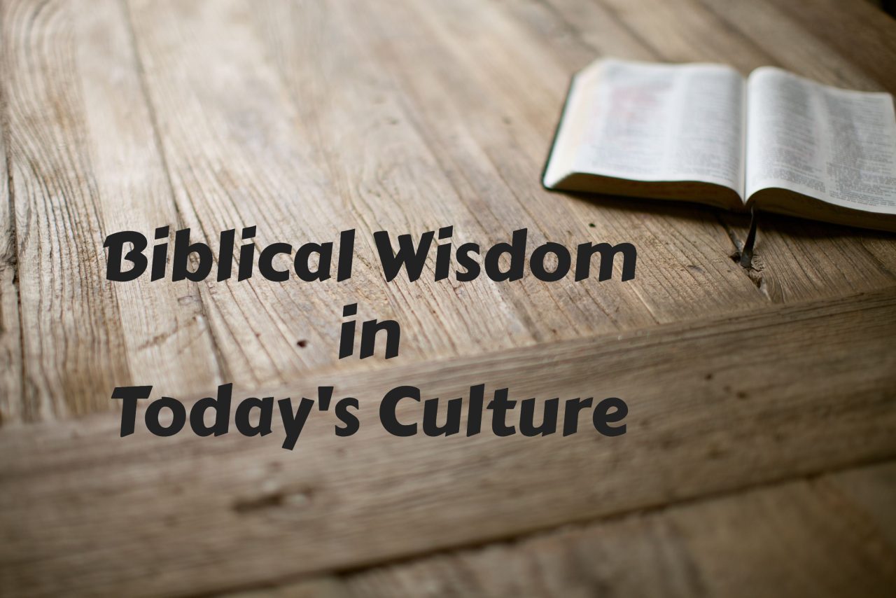 Biblical Wisdom in Engaging Culture - Ava Pennington