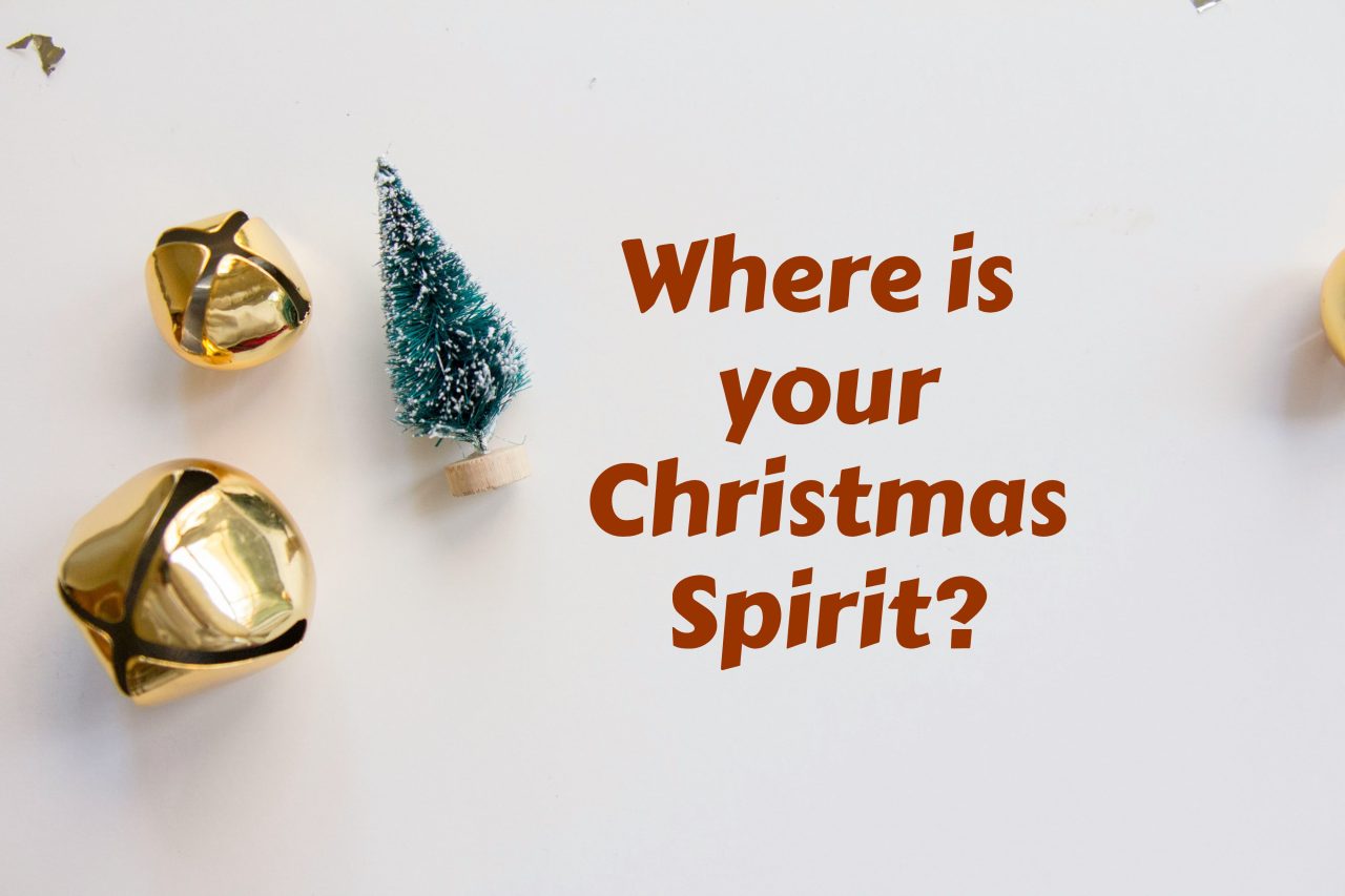 Where's Your Christmas Spirit? - Ava Pennington